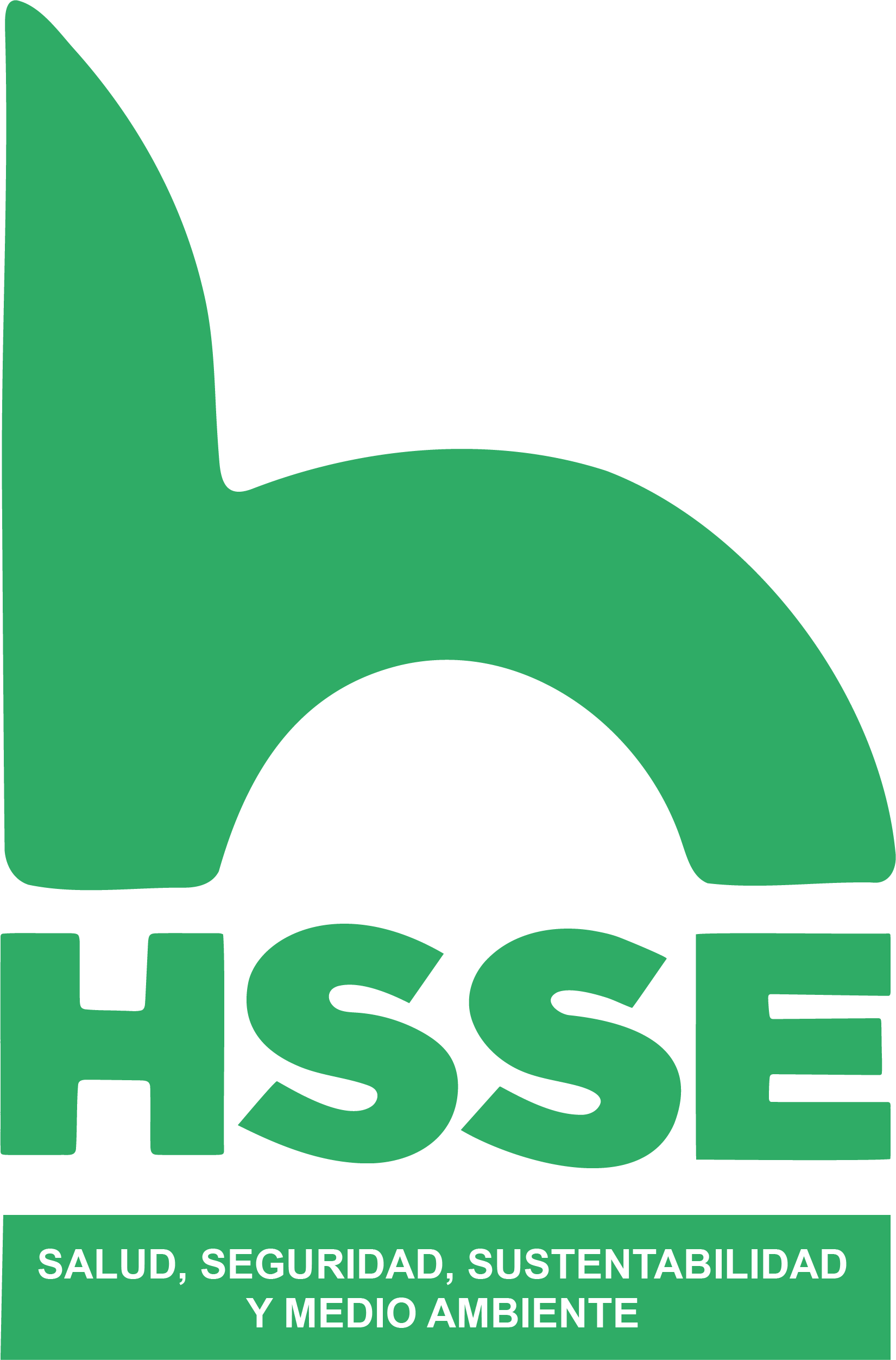 Inicio - hsseconsultoria.com